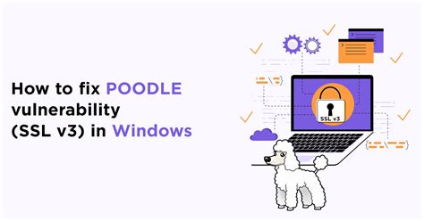 How To Fix Poodle Vulnerability Sslv3 In Windows