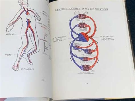 Medicine Illustrated Phisiology By Ann B Mcnaught And Robin