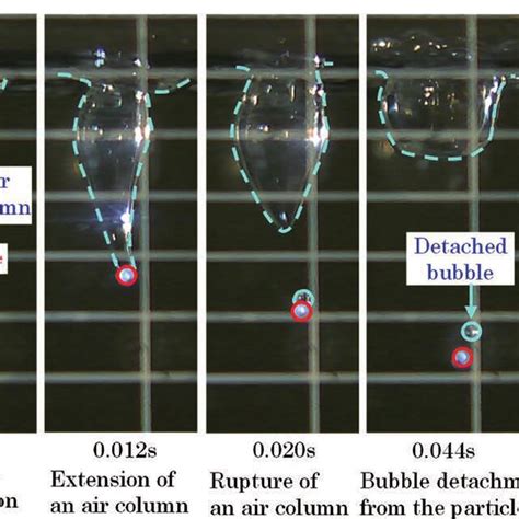 Penetration And Flotation Behavior Of A Particle Condition R3 θ 129° Download Scientific