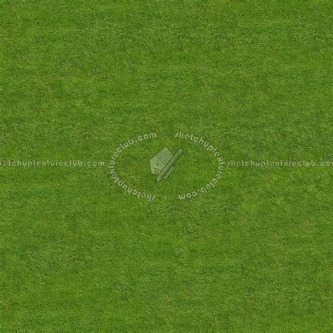 Green Grass Texture Seamless 13008