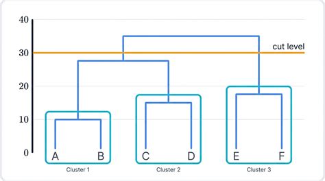 Hierarchical Clustering Build Trees That Reveal Hidden Data Structure