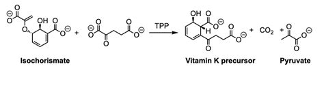 The Enzyme That Catalyzes This Reaction Requires Tpp