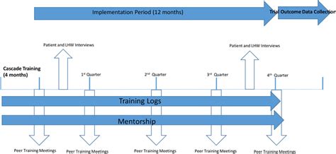 Process Evaluation Data Sources And Timeline Lhw Lay Health Worker