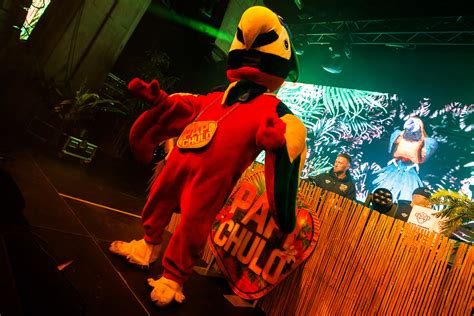 Papi Chulo Flitsteam