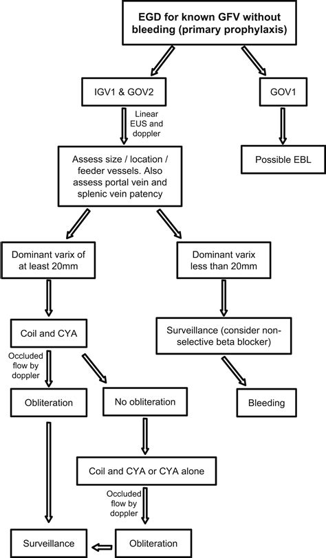 Endoscopic Management Of Gastric Varices Techniques In