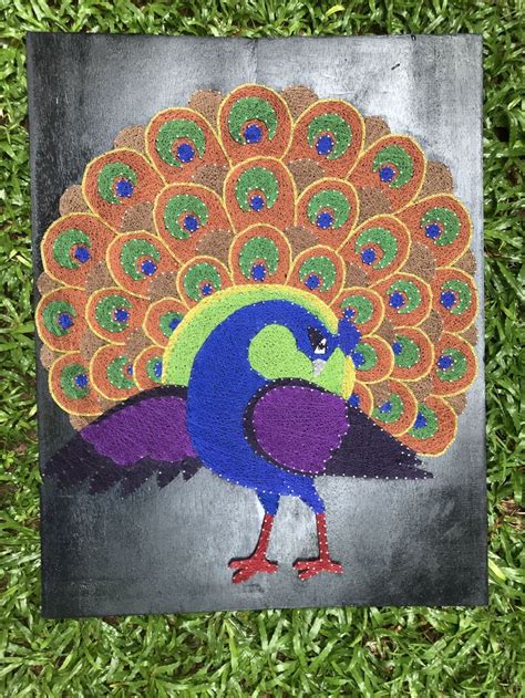 Peacock String Art String Art String Art