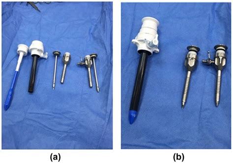 Laparoscopic Spay By Cathy Woodlands British Veterinary Nursing