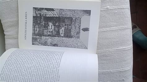 Pubertet I Adolescencija Zlatko Bastašić