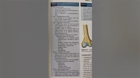 Cierny Mader Classification Of Chronic Osteomyelitis Infection Of