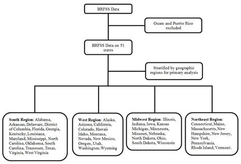 Study Flowchart Stratification Download Scientific Diagram