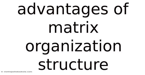 Advantages Of Matrix Organization Structure