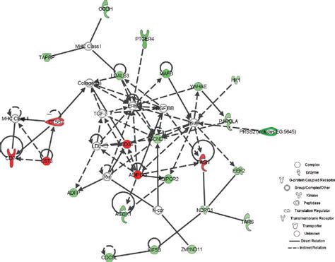 Figure 4 From High Throughput Gene Expression Analysis Of Intestinal