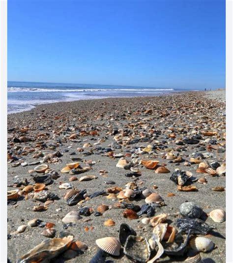 The Primitive Barn Added A New Photo The Primitive Barn