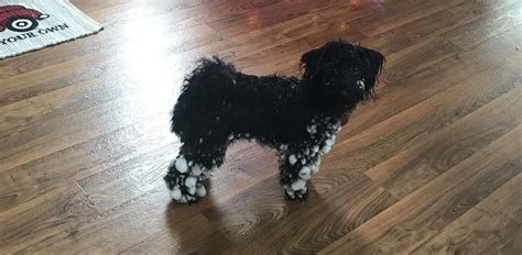 Vicky Barr Selfie Superstar 12 29 20 Wsaq