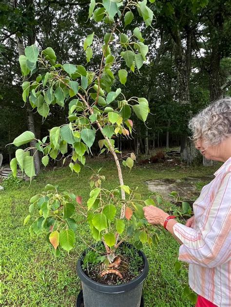 June Tanoue On Linkedin Be A Person Who Knows Love