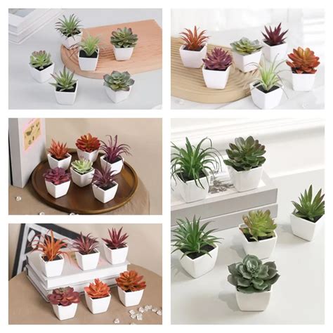 6pcs Set Mini Artificial Succulent Green Plant Plastic Wwhite Basin