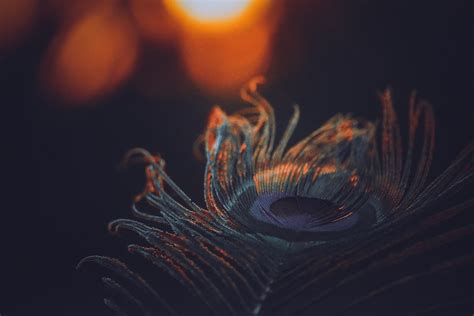 What Does Hare Krishna Mean Unveiling The Bhagavad Gitas Wisdom Mtechshala