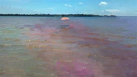 Isla Pombero 18022017 Youtube