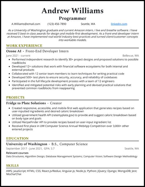 Programmer Resume Examples For