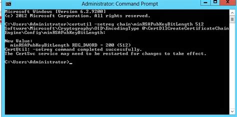 Sometimes I Like To Pretend There Is A Problem With This Websites Security Certificate