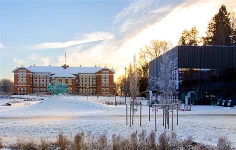 Sinduja Ananthakrishnan On Linkedin Forside Jobbnorgeno