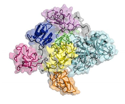 Eloctate™ For The Treatment Of Haemophilia A Clinical Trials Arena