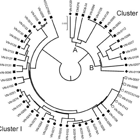 Population Structure Of Vibrio Vulnificus Isolates From The Baltic Sea