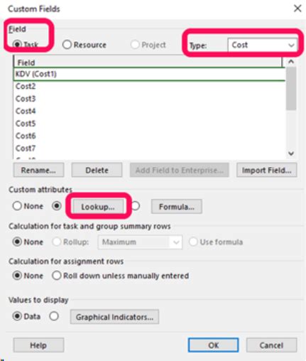 Ms Project Custom Field Mantis PM