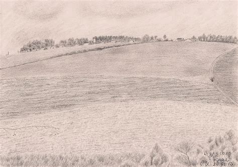 Поле Рисунок Карандашом 108 Фото