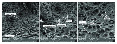 Sem Images Showing Microvoids And Dimples In The Fractured Surface Of
