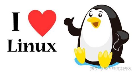 掌握了这几个 Linux 命令可以让你工作效率提升三倍 知乎