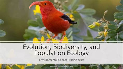 Evolution Biodiversity And Population Ecology Pptx