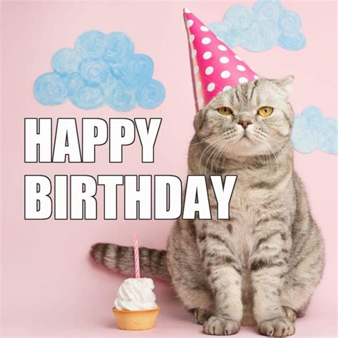 Happy Cat Memes Happy Cat Animated Trlp