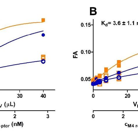Binding Curves Of Fluorescent Ligand Binding To M4 Receptor 1 Nm Download Scientific