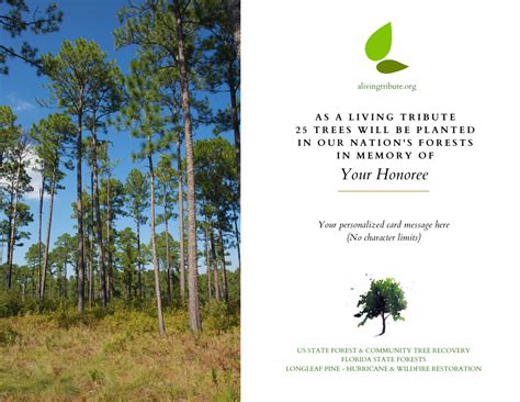 Plant A Tree T Restore A State Forest Or Community In Need A