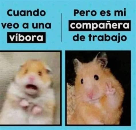 Compañeros De Trabajo Memes Alegres Memes De Maestros Netflix Imagenes