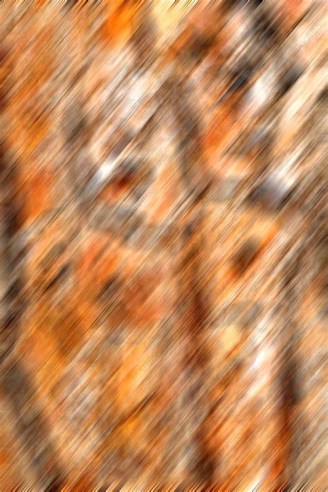 Barck Photo Background And Picture For Free Download Pngtree