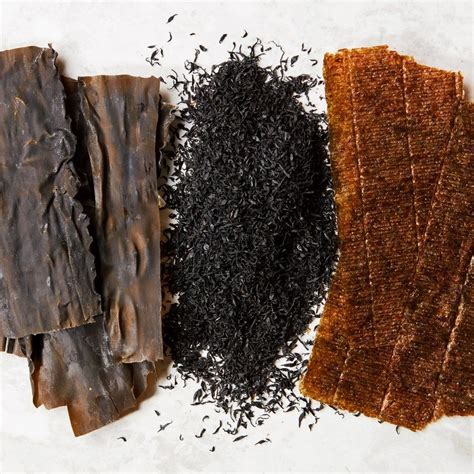 6 Types Of Seaweed To Know And Love Artofit