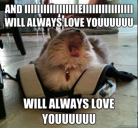 I Will Always Love You Meme