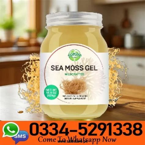 Sea Moss Gel In Pakistan 0334 5291338 Shop Now