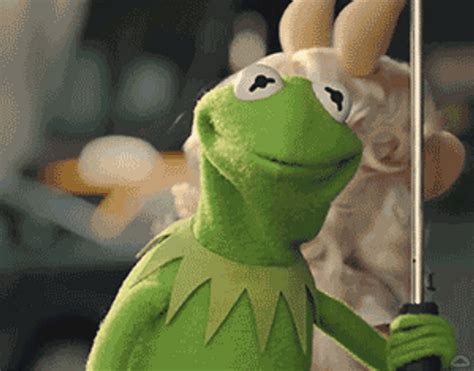 Excited Kermit  Animed