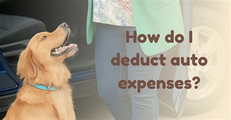 Tiny Paws Bookkeeping