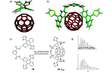 A Molecular Model Showing The Shape Complementarity Between Exttf And