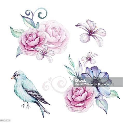 수채화 빈티지 클립 아트 파랑새 꽃다발 낭만적 인 꽃 장미와 말미잘 로고 엽서 직물을 위한 재봉 그리고 유행 디자인 복고풍 스타일의 패션을 위한 양장점 제작 수공예 골동품에