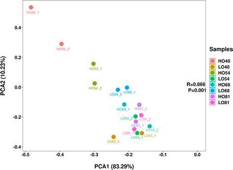 Principal Component Analysis Pca Plot Of Each Sample The Analyses Download Scientific
