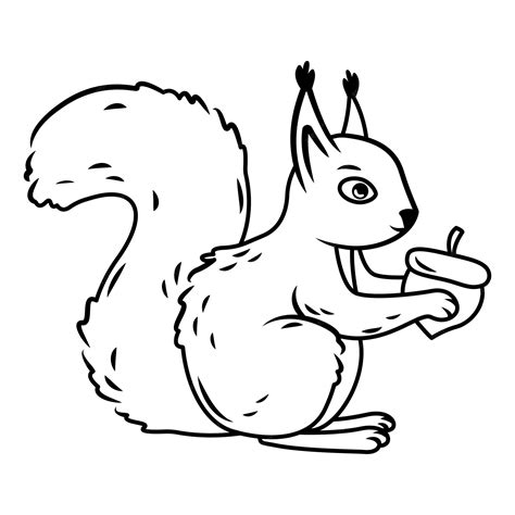 Premium Vector A Cute Red Squirrel Sits Like A Nut In Its Paws Outline Image Vector
