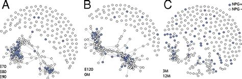 global spectral clustering in dynamic networks pnas