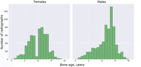 Bone Age Distribution For Females And Males In The Training Dataset