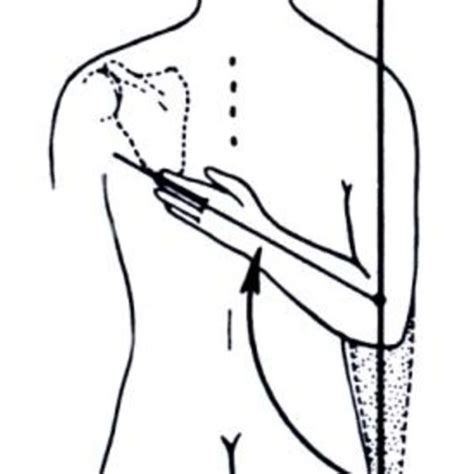 External Rotation With Glenohumeral Movement Complemented By Download Scientific Diagram