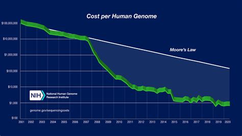 Human Genome Sequence
